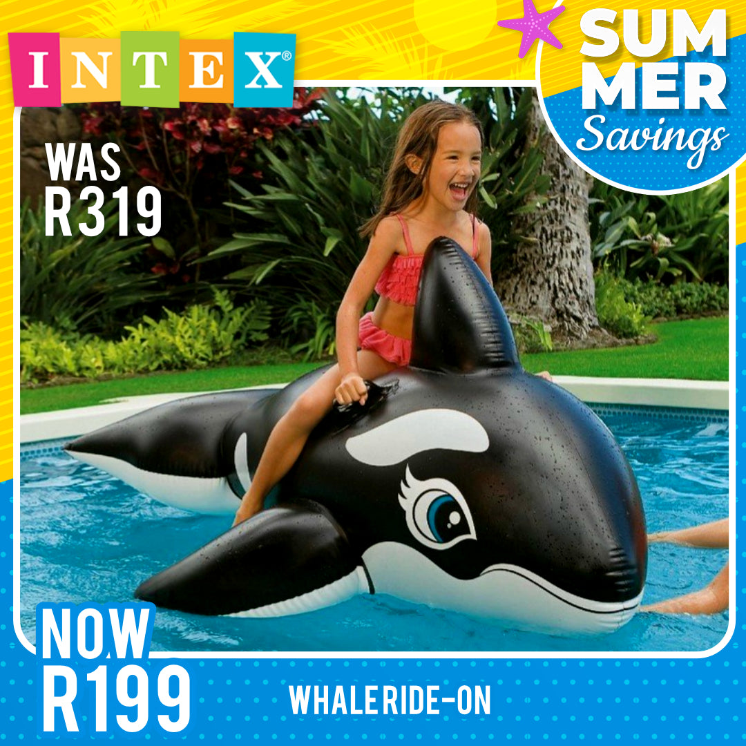 Intex Store South Africa – Intex-sa